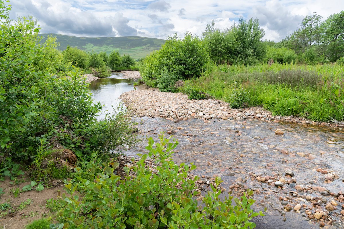 Climate | Our Work | Loch Abar Mòr