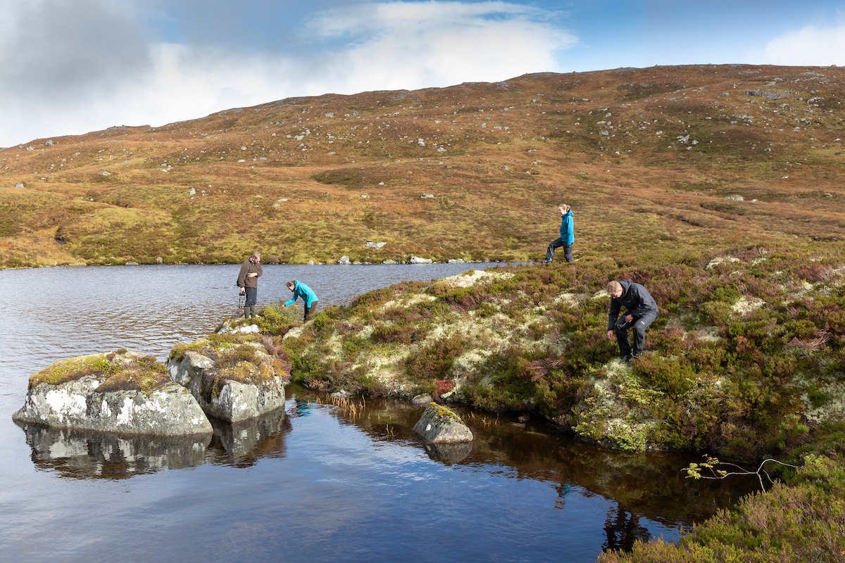 The Mountain Birch Project | Storytelling | Loch Abar Mòr